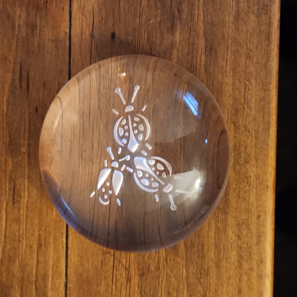 Vandermark Merritt | Art | 984 Vandermarkmerritt Beatle Paperweight ...